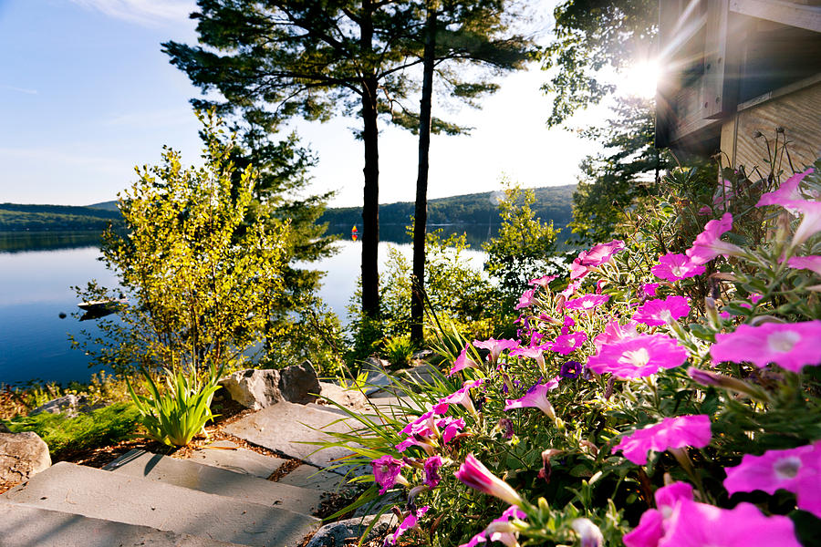 Morning sun on the lake Photograph by Jo Ann Snover - Fine Art America