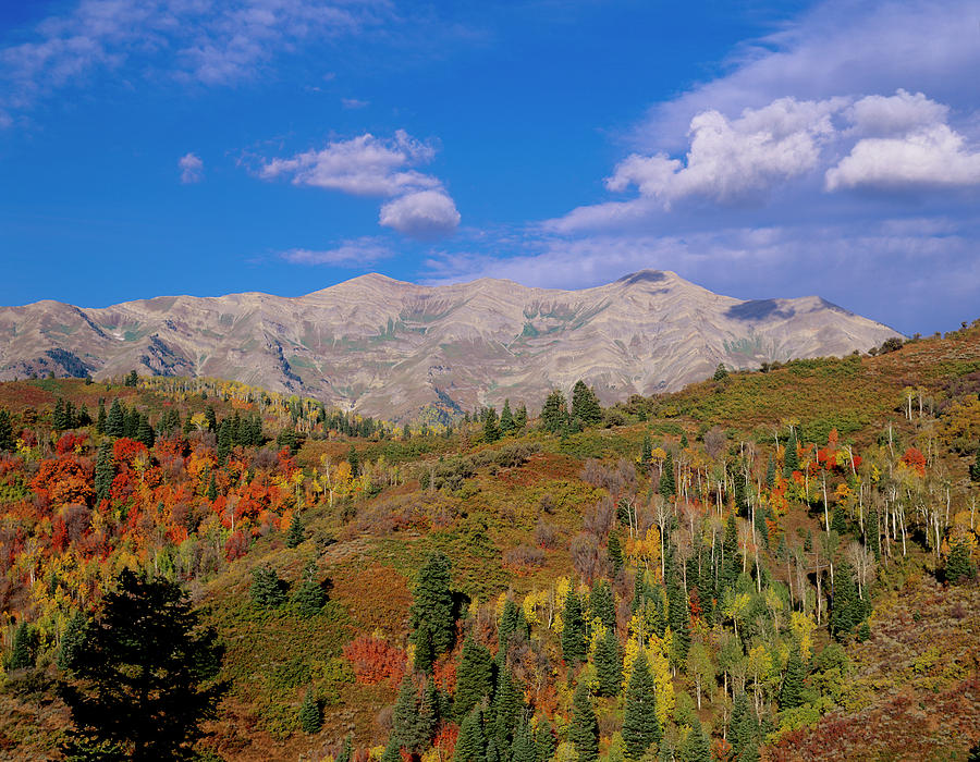 Mount Nebo Scenic Byway Photograph by Howie Garber - Pixels
