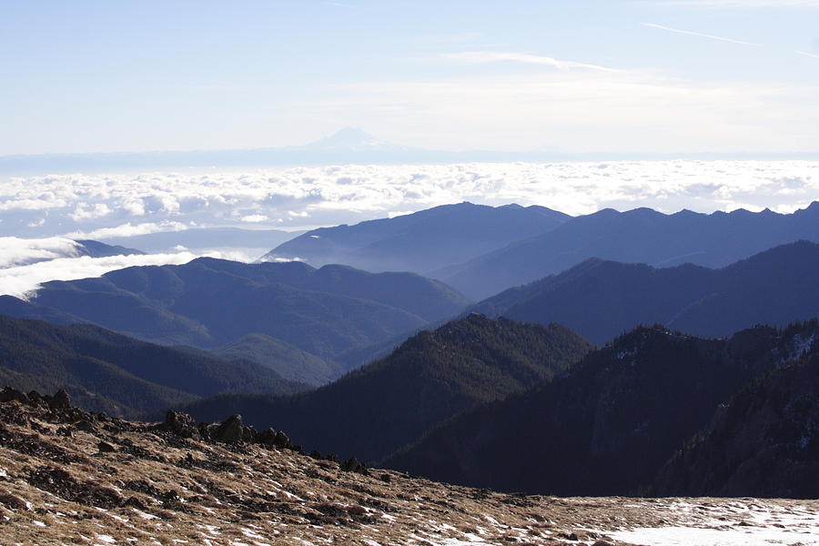Mount Townsend Summit Photograph by Emily Vagts - Pixels