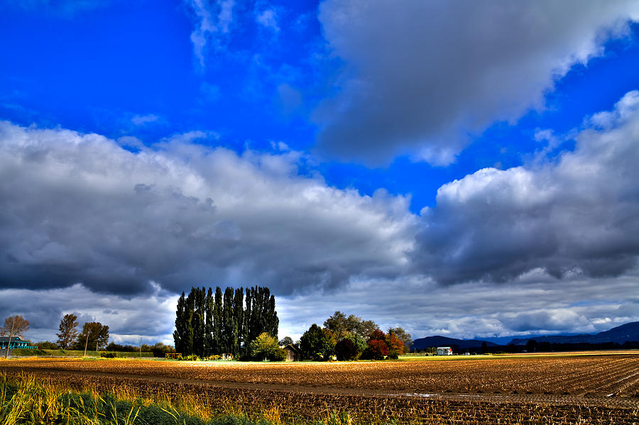Mount Vernon in the Fall Photograph by David Patterson - Fine Art America