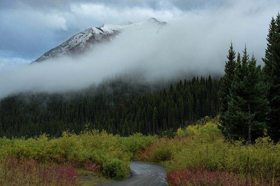 Mountain In Fog And Forest With Road Photograph by Brandon Huttenlocher ...
