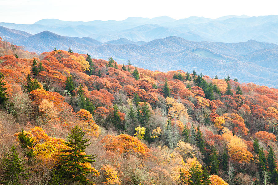 Mountain Layers Photograph by Scott Moore - Fine Art America