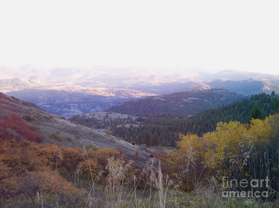 Mountain Open Range Photograph by David A James - Fine Art America