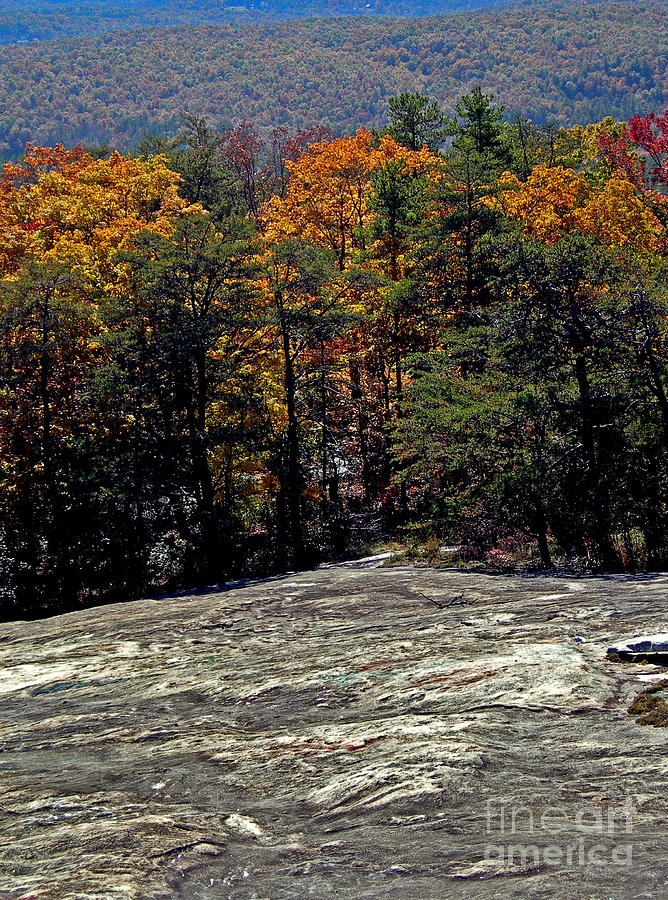 Mountain Side Fall Photograph by Skip Willits | Fine Art America