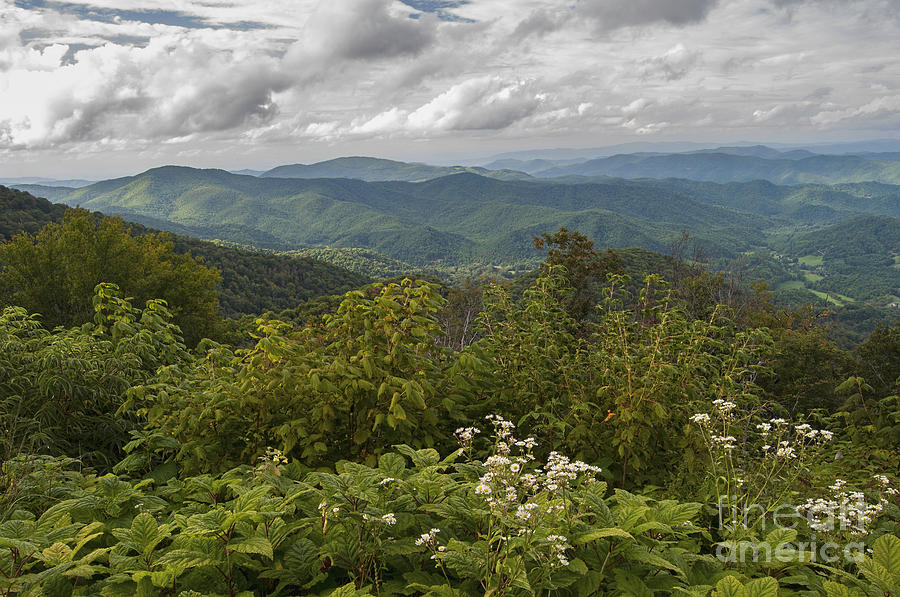 Mountain Splendor Photograph by Lisa Smith - Pixels