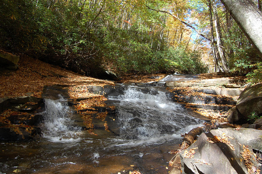 Mountain Stream Cascade Photograph by Roy Erickson - Fine Art America