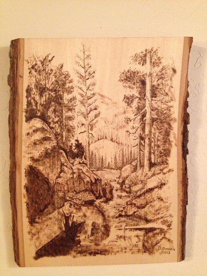 Mountain Stream Pyrography by Dwayne Daniels - Pixels