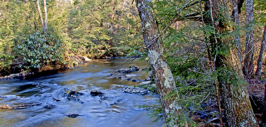 Mountain Stream in Spring Photograph by A Macarthur Gurmankin - Fine ...