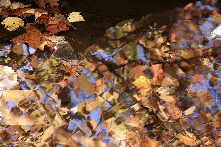 Mountain Stream Reflection Photograph by Michael Weeks - Fine Art America