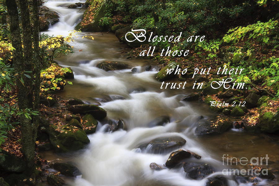 Mountain Stream with Scripture Photograph by Jill Lang - Fine Art America