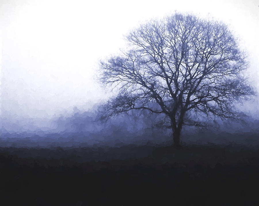Mourning Tree Digital Art by Steve Smith - Fine Art America
