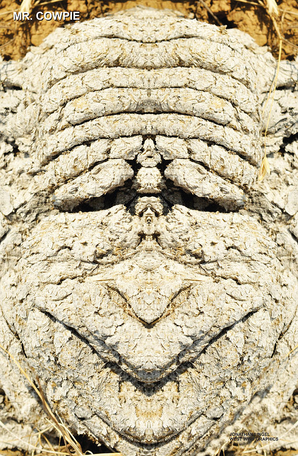 Homer Simpson cow pie Photograph by Jonathan Lingel - Fine Art America