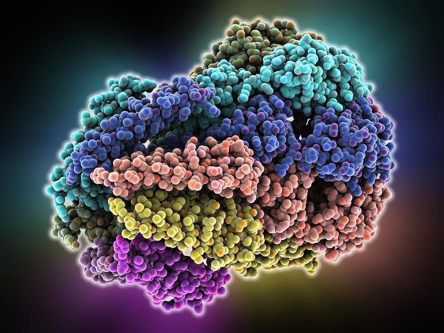 MscS ion channel protein structure by Science Photo Library