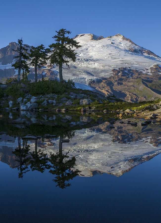 Mt Baker Photograph by Ross Murphy - Pixels