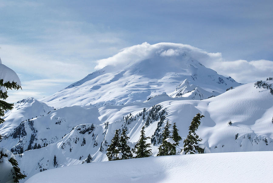 Mt Baker Photograph by Terry Schmidbauer - Fine Art America