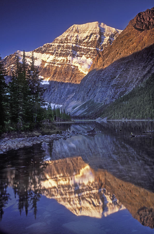 Mt Edith Cavell Reflection Photograph by Dave Mills - Fine Art America