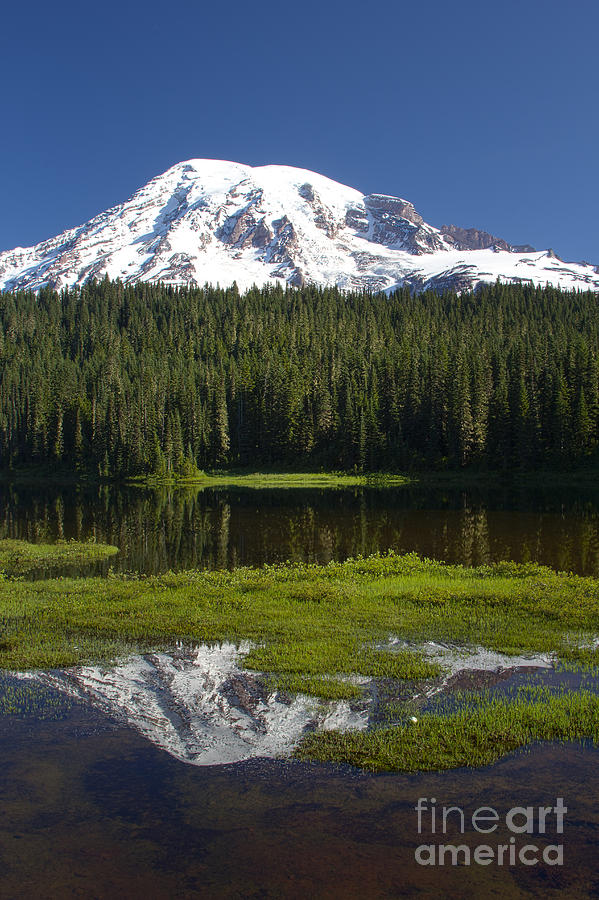 Mt. Rainier Reflection Photograph by Sonya Lang - Fine Art America