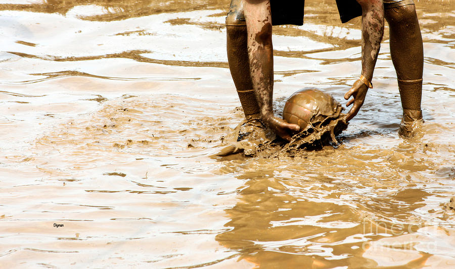 Mud Ball Photograph by Steven Digman - Fine Art America