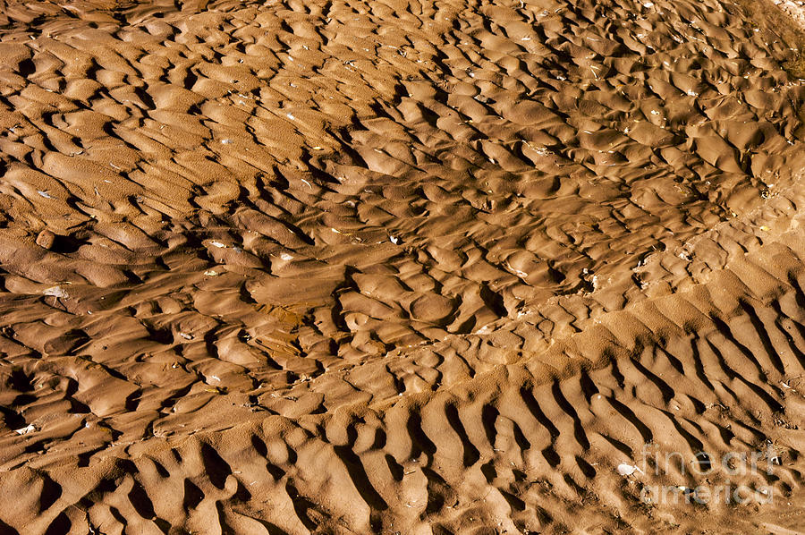 Mud Designs Photograph by Bob Phillips - Pixels