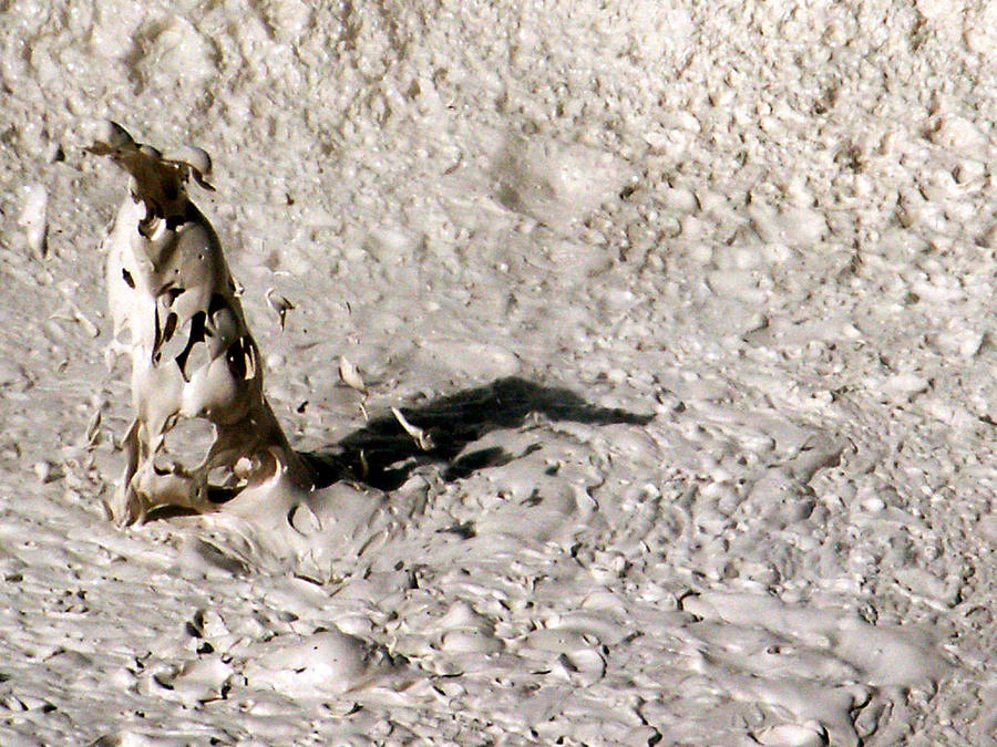 Mud Sequence 5 Photograph by Tarey Potter - Pixels