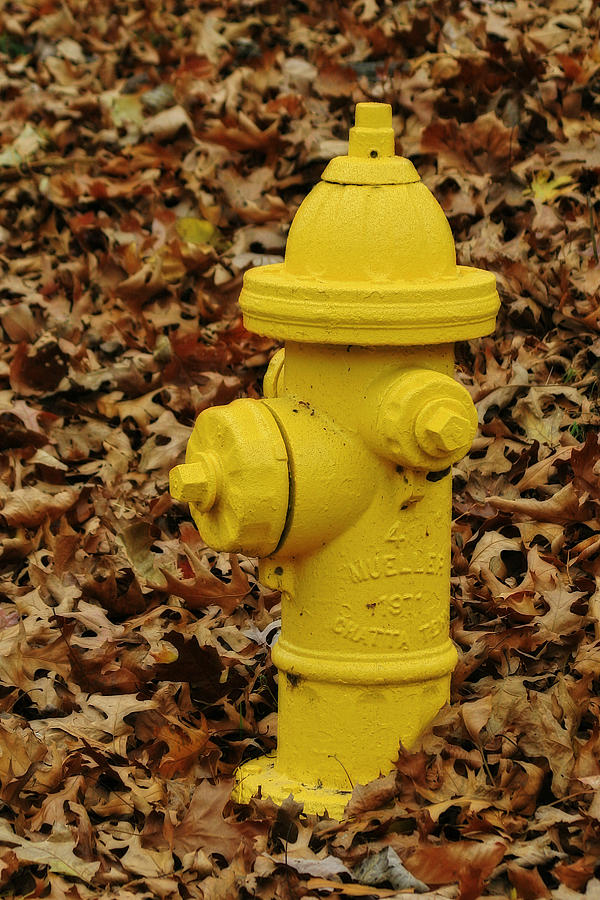 Mueller Fire Hydrant Photograph by CE Haynes - Fine Art America