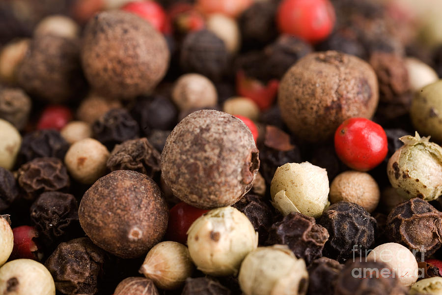 Multicolor Peppercorns Photograph by Iris Richardson - Fine Art America