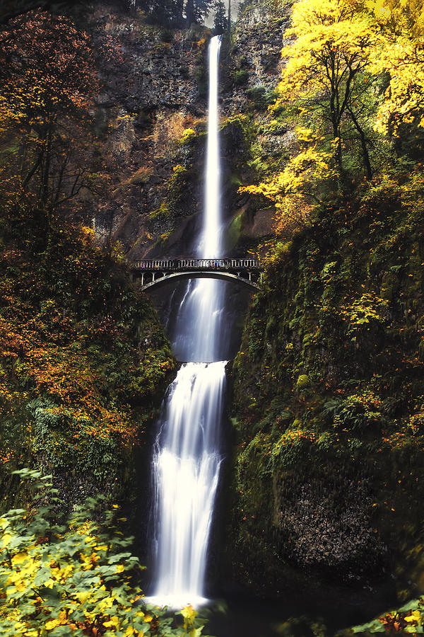 Multnomah Falls Photograph by Rick Luiten - Pixels