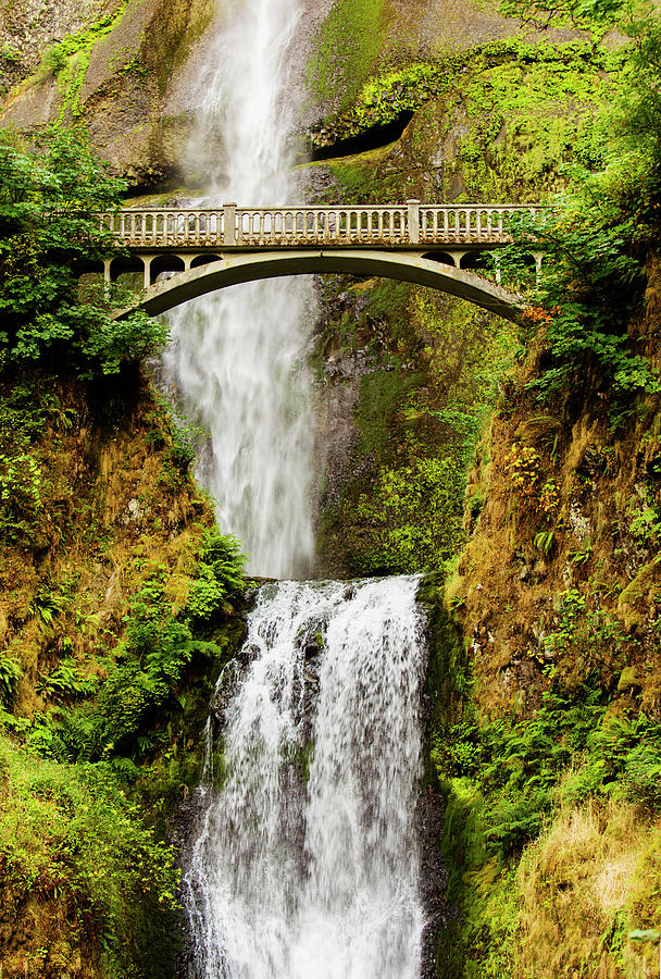 Multnomah Falls Photograph by Ron Koeberer - Pixels