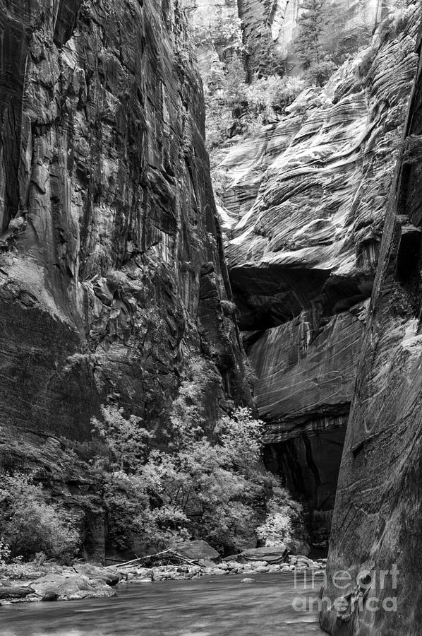 Narrow Pathway 2 Photograph by Bob Phillips