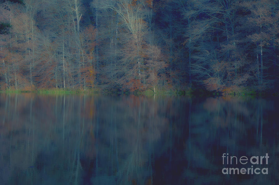 Native Blue Photograph by Steph Binney - Fine Art America