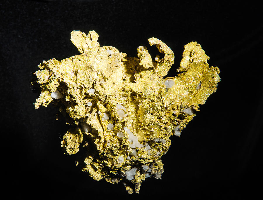 Native Gold by Millard H. Sharp