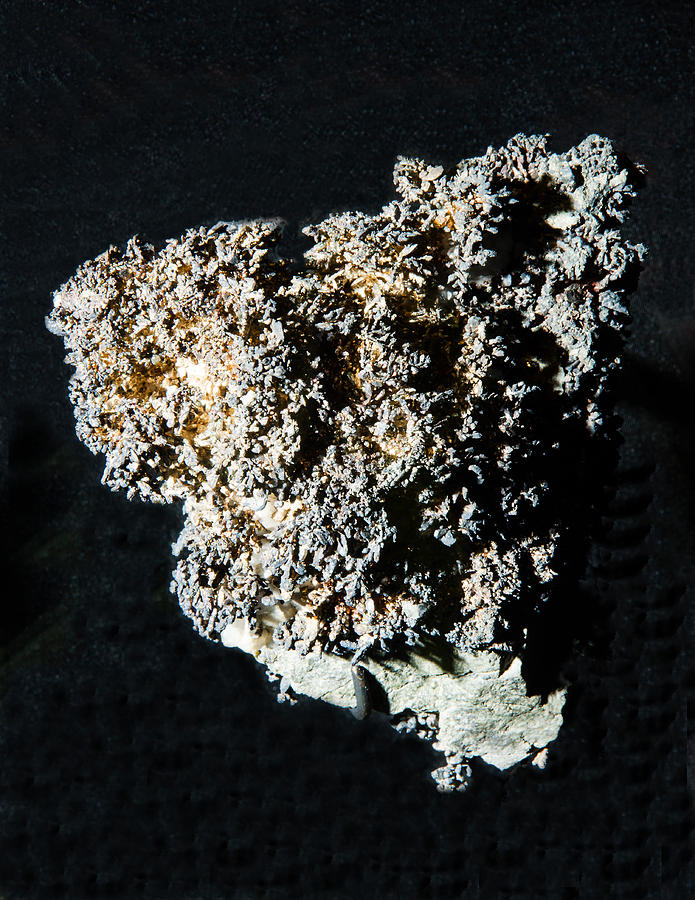 Native Silver Photograph by Millard H. Sharp - Fine Art America