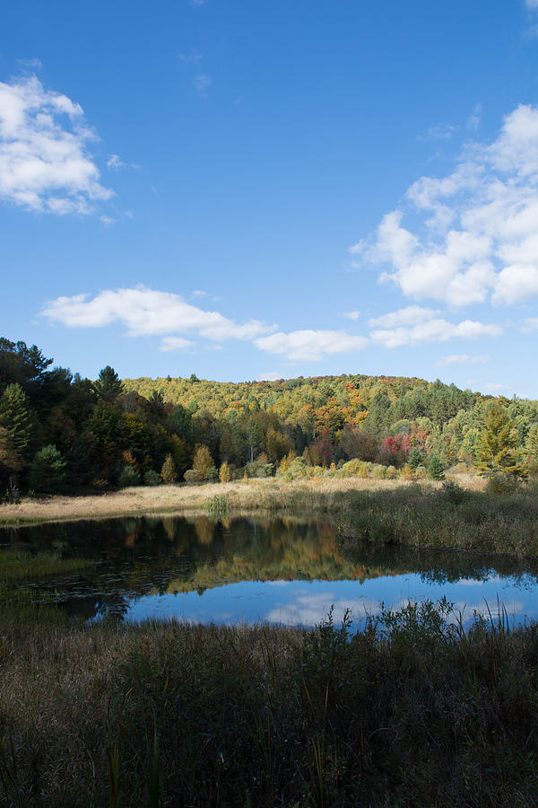 Natural Setting Photograph by Sherman Perry | Pixels