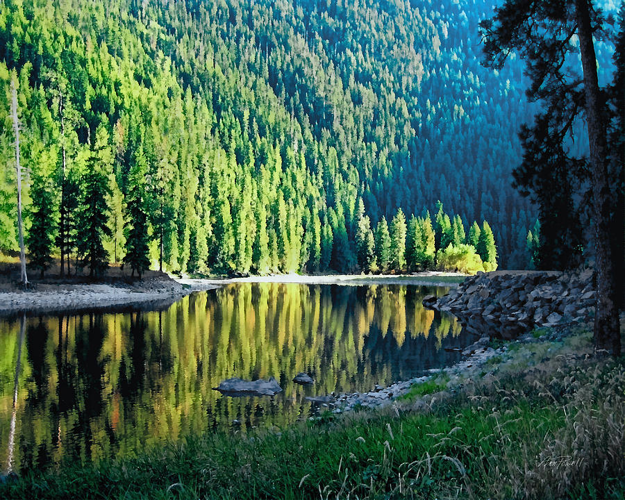 Nature Reflection Digital Art by Ann Powell - Fine Art America