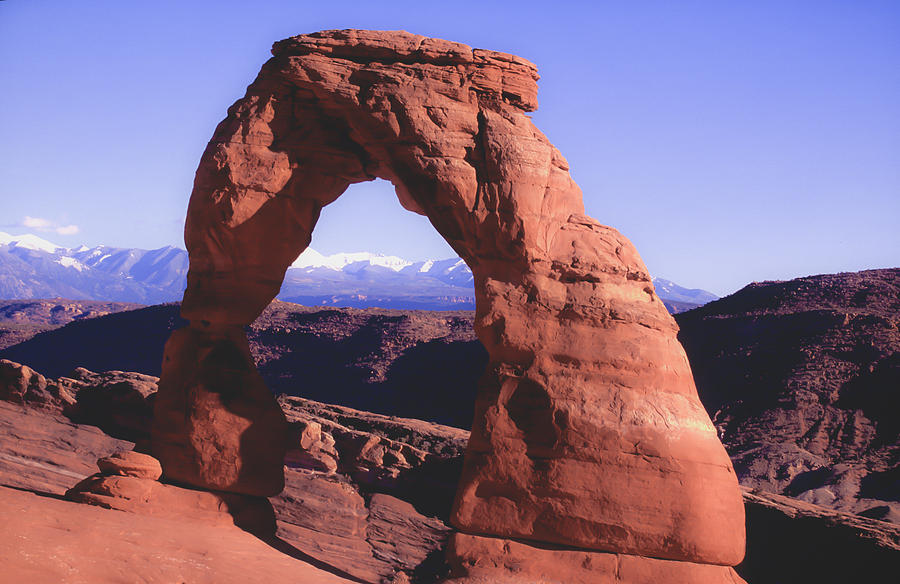 Natures Natural Wonder Photograph by Floyd Bond - Fine Art America