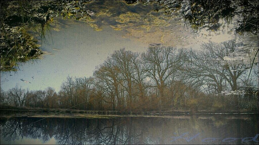 Nature's Reflection Digital Art by Robert Hood - Fine Art America