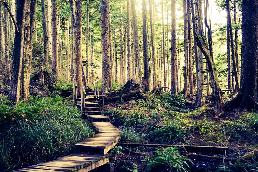 Neahs bays Gate to the peak Photograph by Lilpuma Studios - Pixels