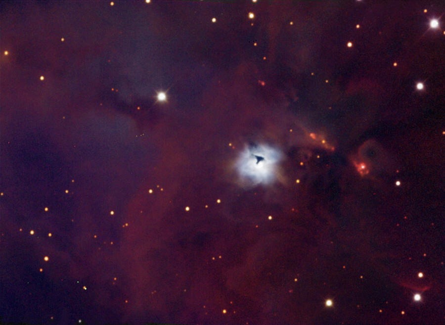 Nebula Ngc 1999 And Bok Globule Photograph by Robert Gendler & Jim Misti/science Photo Library ...