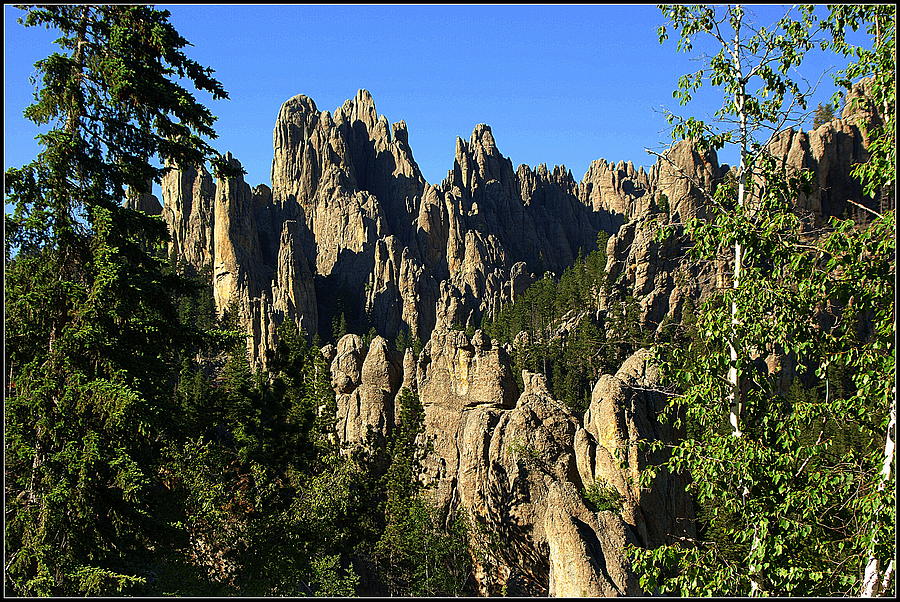Needles Photograph by Robert Bodnar - Fine Art America