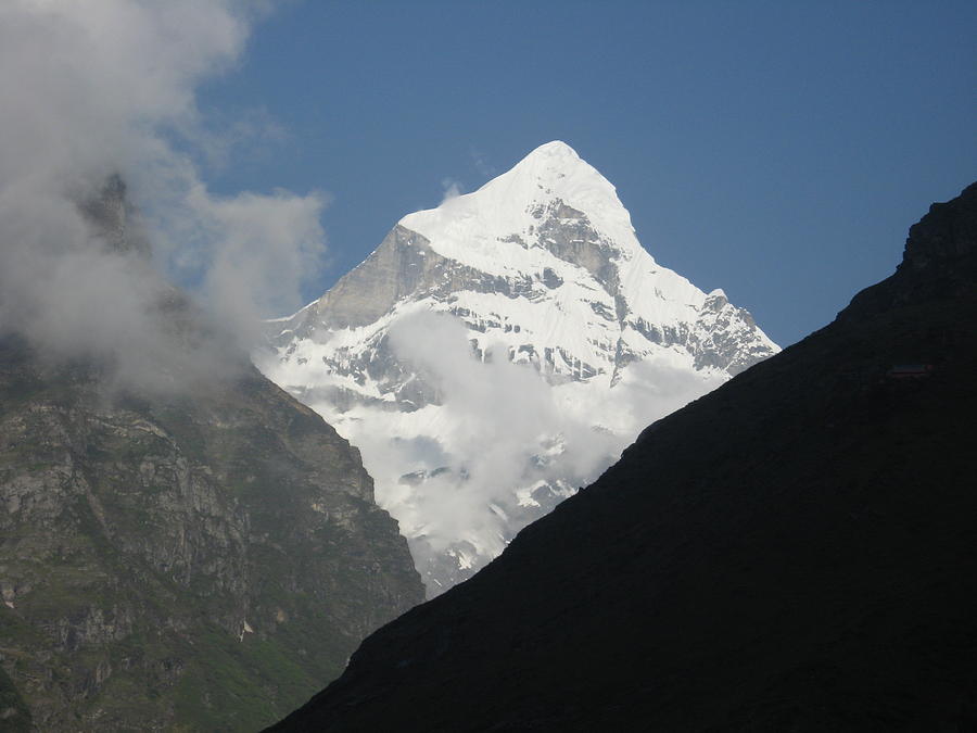 Neelkanth Photograph by Shweta Sharma - Fine Art America