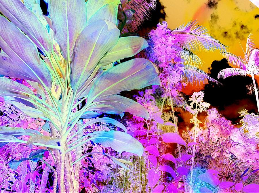 Negative Plants Digital Art by D Preble - Fine Art America
