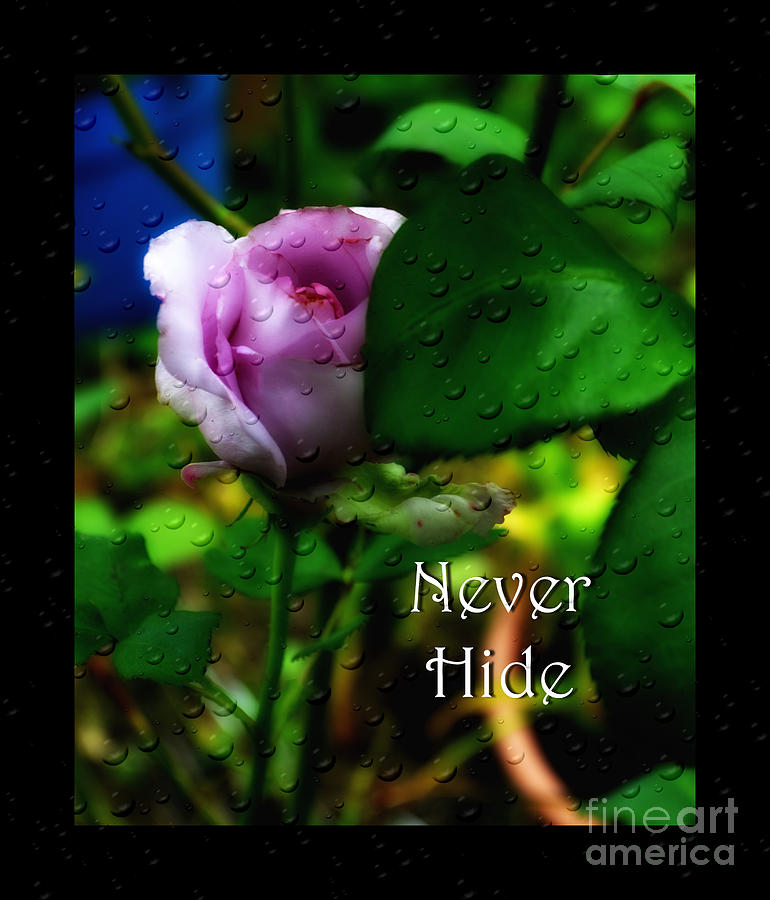 Never Hide Photograph by Eva Thomas - Fine Art America
