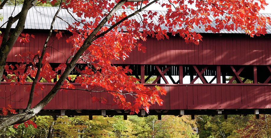 New England Covered Bridge Photograph by Science Photo Library - Pixels