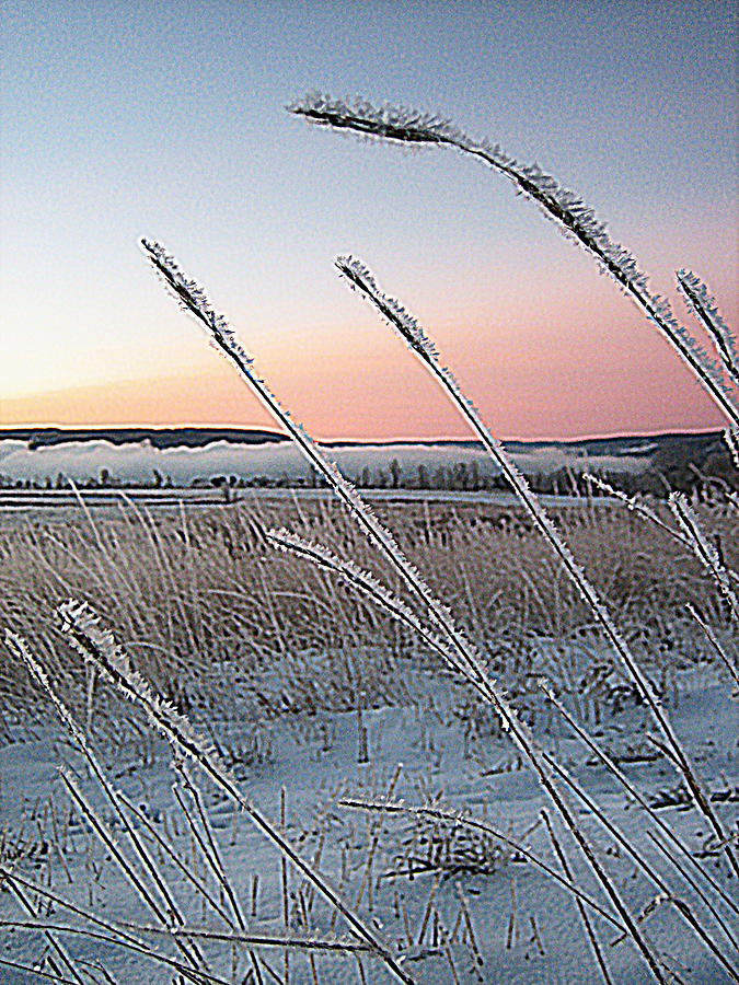 Nice Work Jack Photograph by Mary Cloninger - Fine Art America
