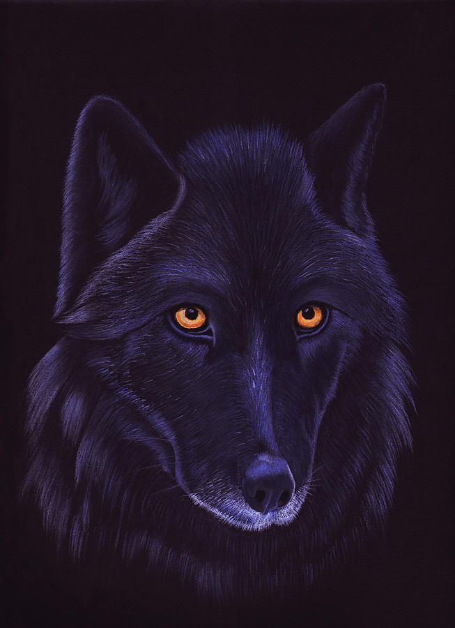 Night Wolf