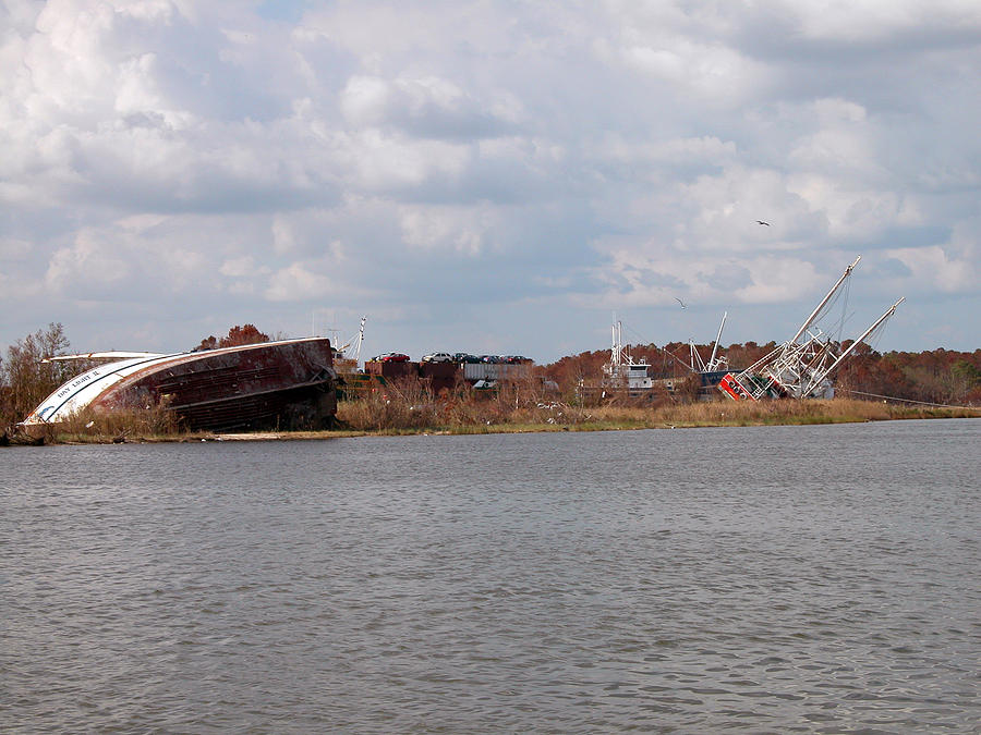 No Shrimp For A While Photograph by David Dittmann - Fine Art America