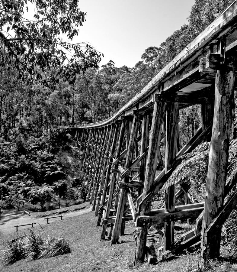 Noojee Trestle Bridge Photograph by Heather Provan - Fine Art America