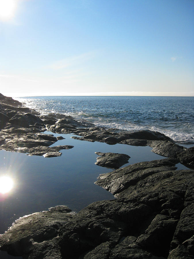 North Atlantic Tidal Pool Photograph by Douglas White - Fine Art America
