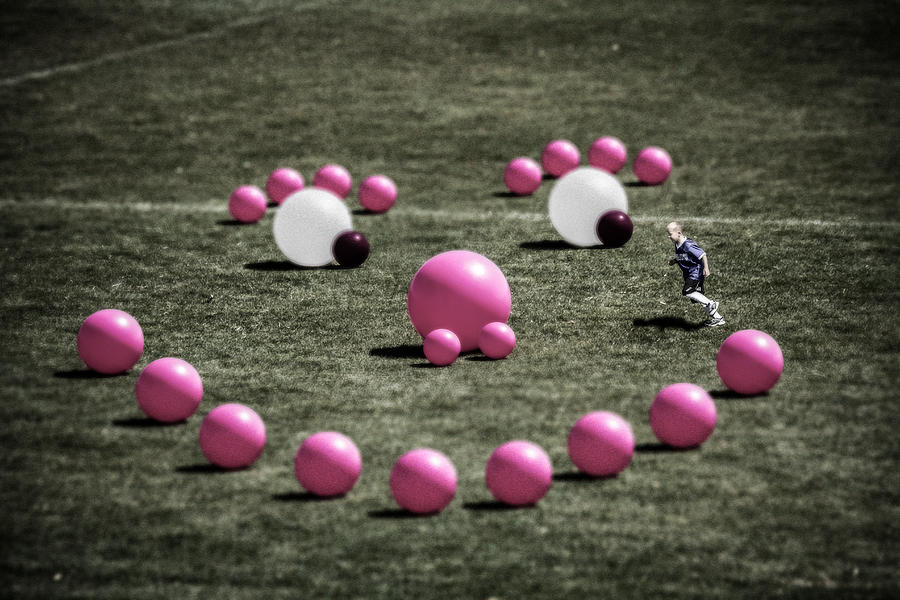 Nose Job Photograph by Randy Turnbow - Fine Art America