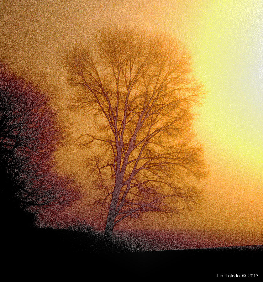 Nuclear Tree Photograph by Linda Leeming - Fine Art America